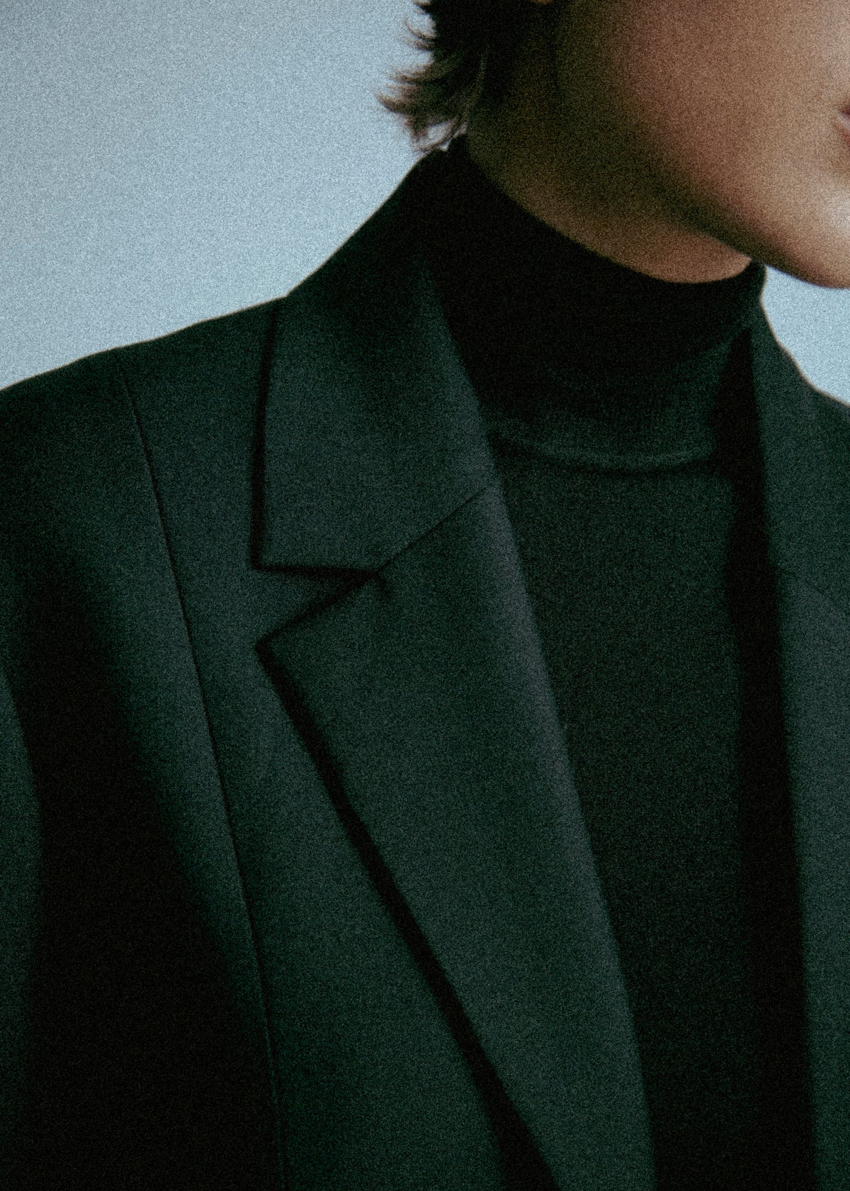 THE BLAZER